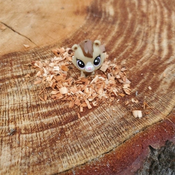 Littlest Pet Shop | Toys | Lps Bear Brown Tiny Rare | Poshmark